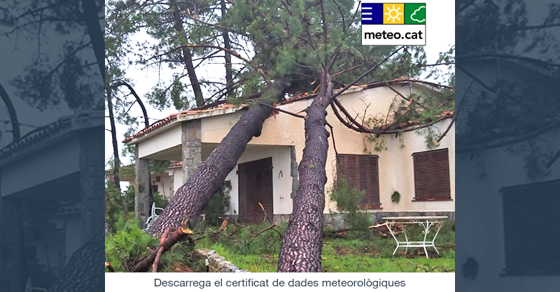 Certificat de dades meteorològiques | Meteocat